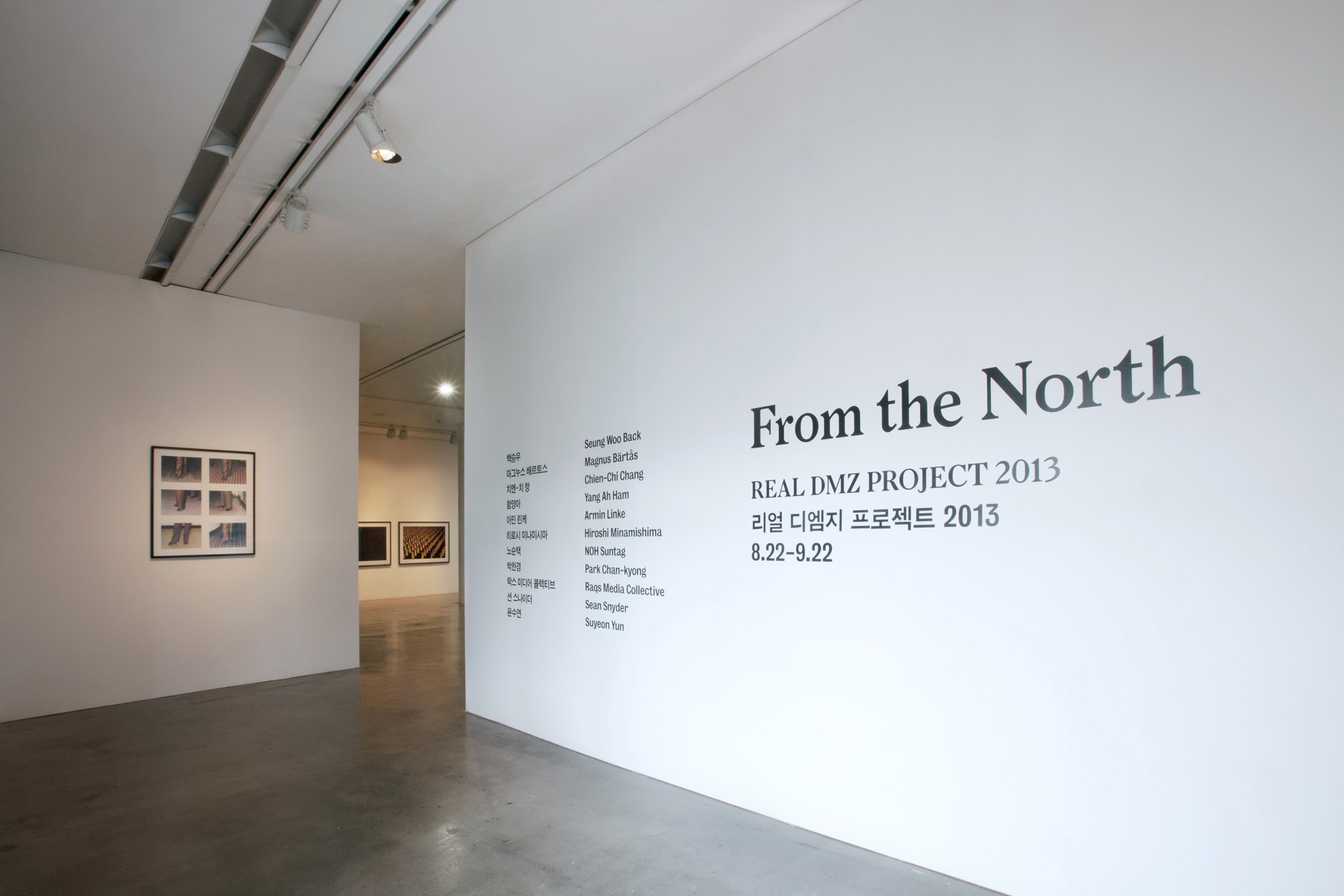 REAL DMZ PROJECT 2013: From the North - 아트선재센터